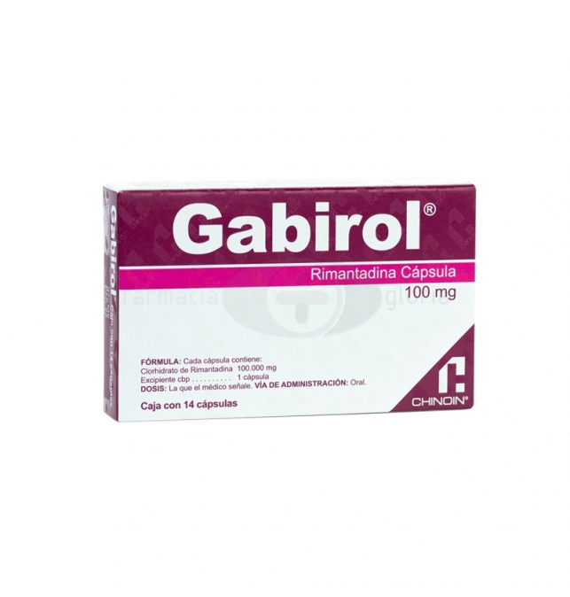 GABIROL 100 MG CON 14 CÁPSULAS