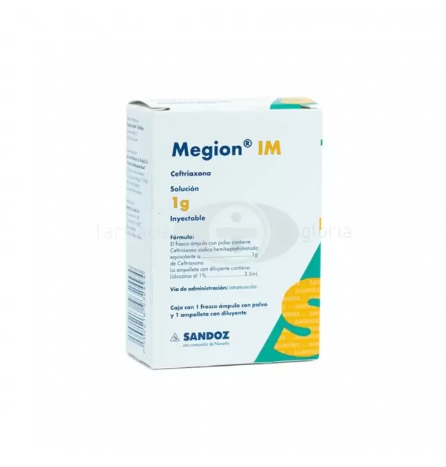 MEGION 1 G SOLUCIÓN INYECTABLE CON 10 ML