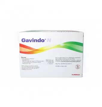 GAVINDO N 300MG/100MG/0.200MG CON 60 CÁPSULAS